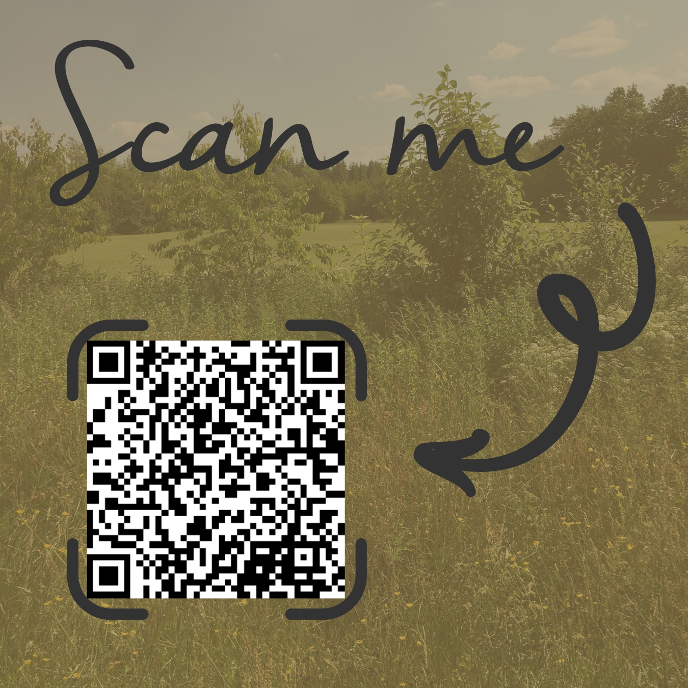 MINISHANT ECO PARK CONSULTATION - Open to all! - NCCBC